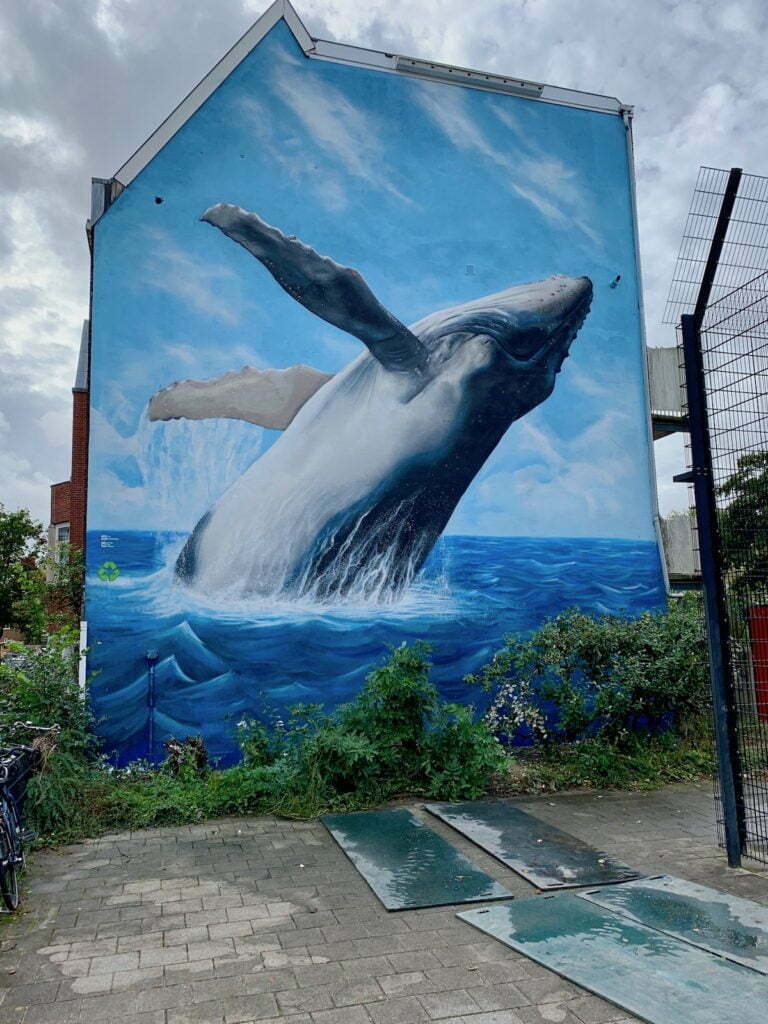 graffiti kunst | Graffiti kunst voor bedrijven | Graffiti voor Bedrijven